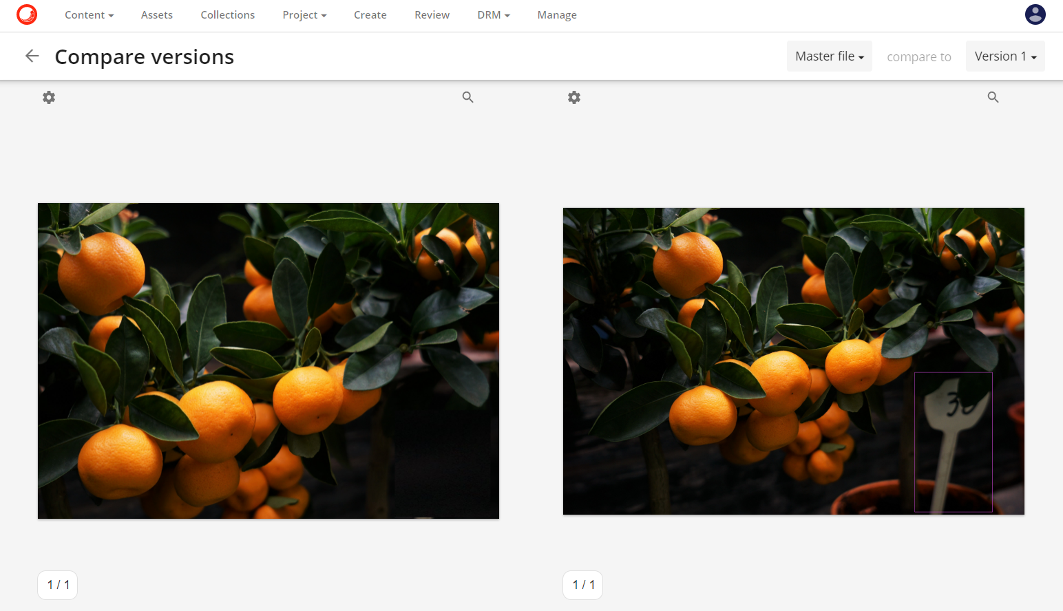 Side-by-side comparison | Sitecore Documentation