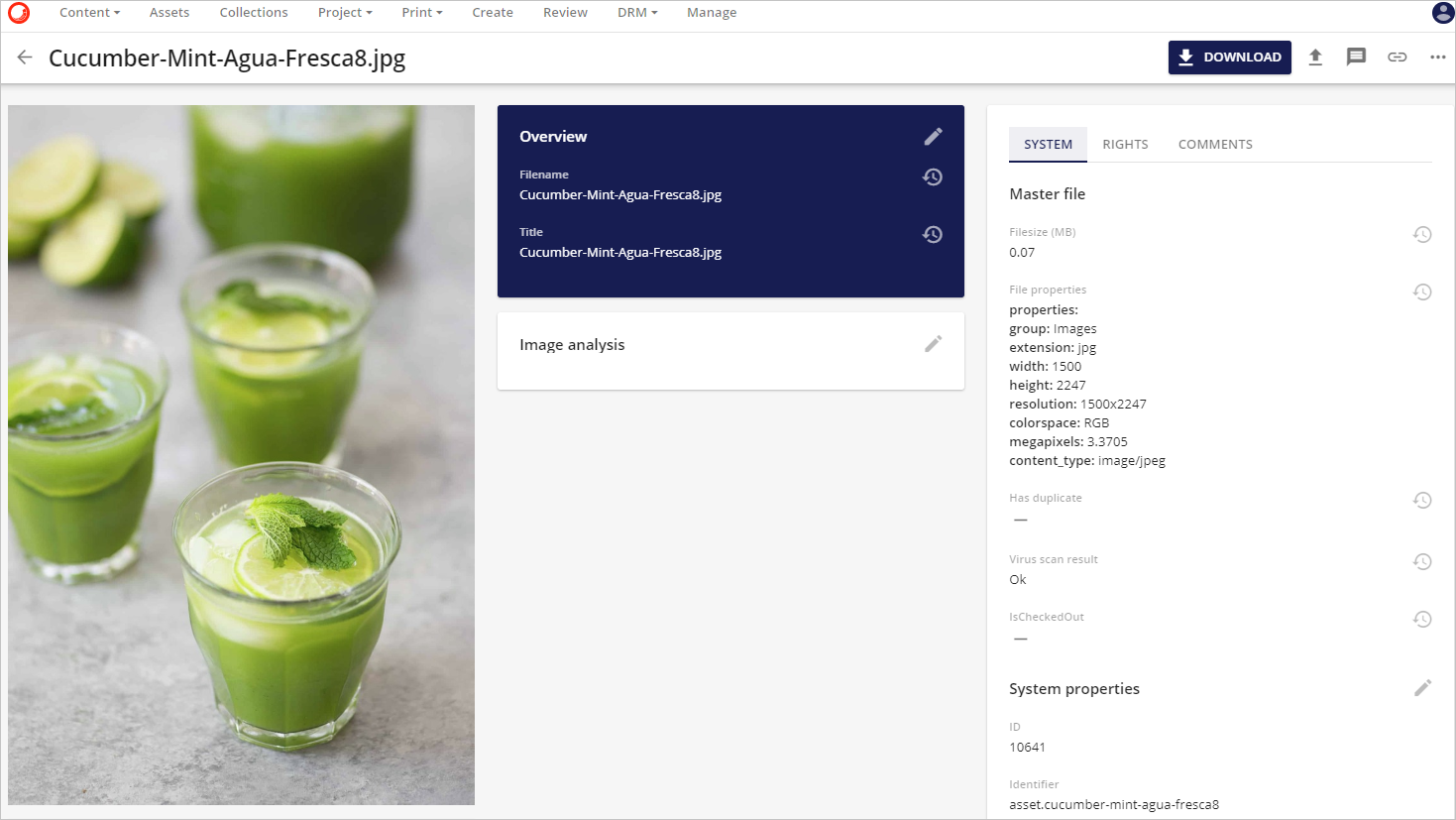 Asset Detail page | Sitecore Documentation