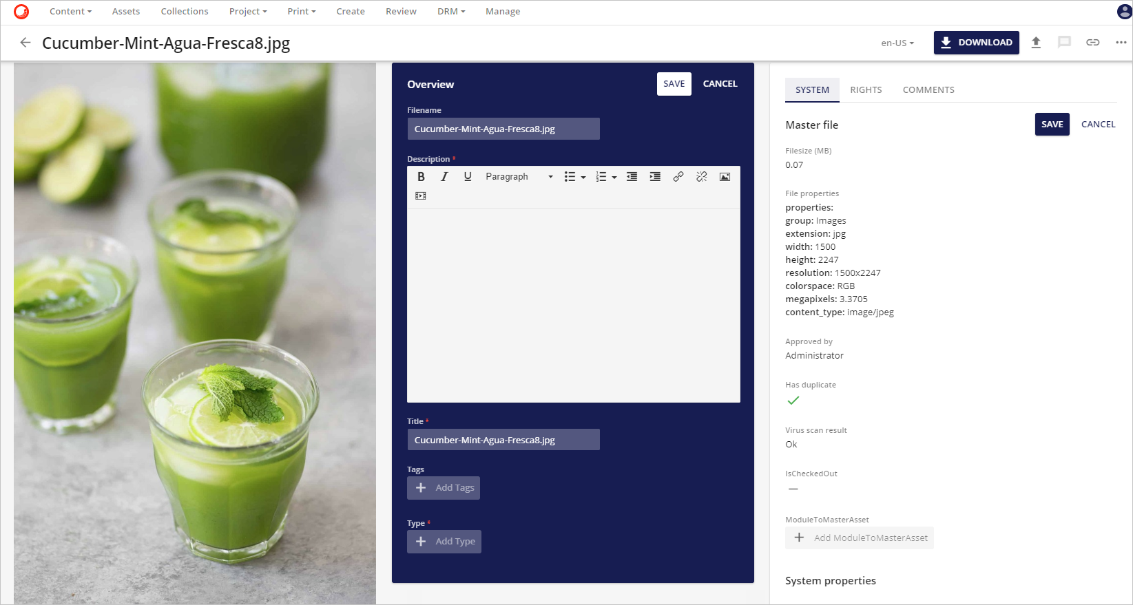 Asset Detail page | Sitecore Documentation