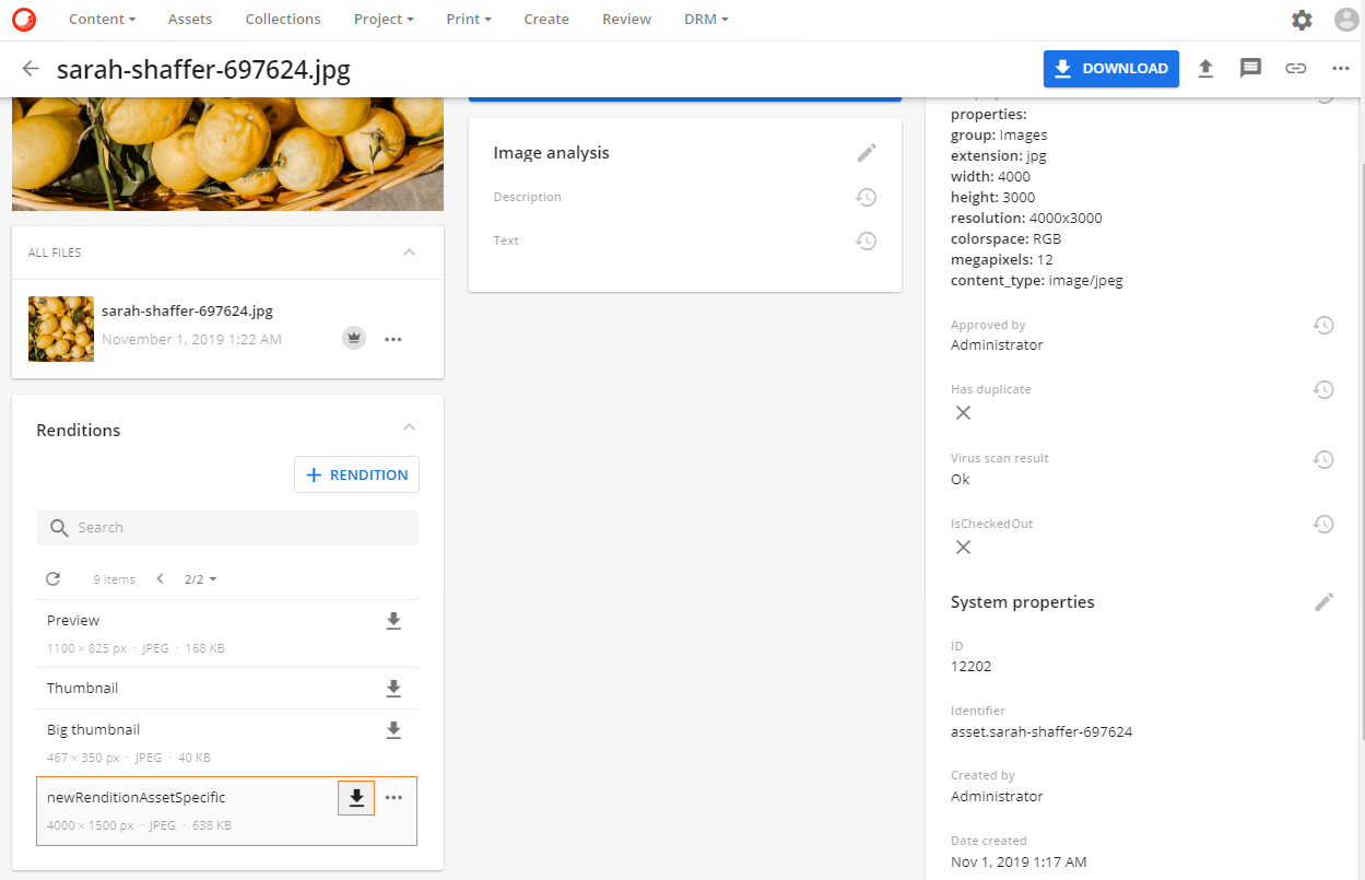 Rendition management | Sitecore Documentation